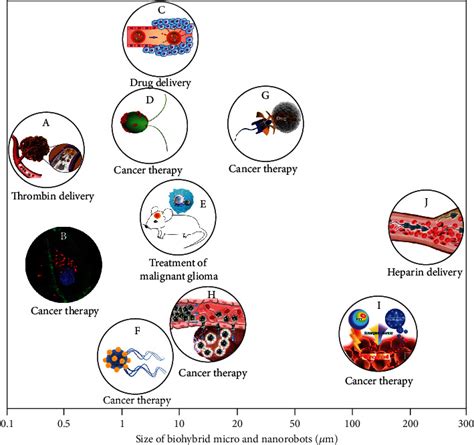 Biohybrid Micro And Nanorobots For Intelligent Drug Delivery Abstract Europe Pmc