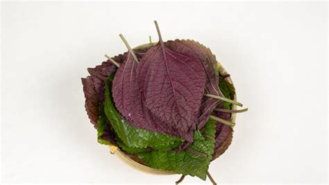 Purple Green White Health Food Summer Vegetables Map Overhead Shot