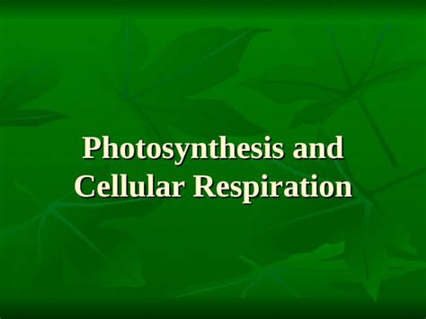 PPT Photosynthesis And Cellular Respiration PowerPoint DOKUMEN TIPS