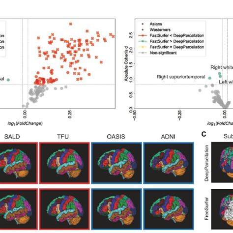 performance of deepparcellation a dice coefficient dice comparison