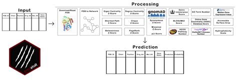 Introduction To Predator • Predator