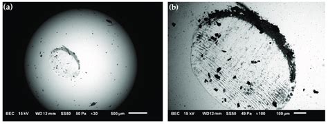 A B Sem Micrograph Of The Wear Surface Of The Al2o3 Ball After The Download Scientific