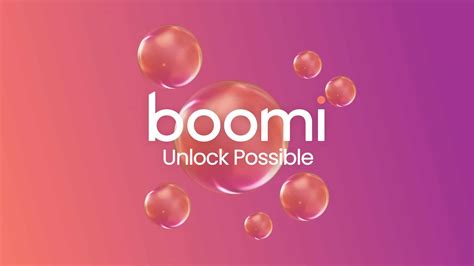 Boomi Data Integration Boomi