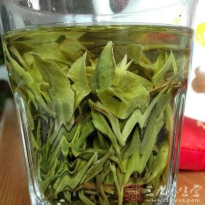 绿茶冲泡温度 白茶的冲泡温度 随意云