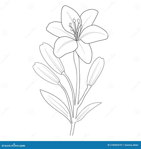 Simple Lily Outline