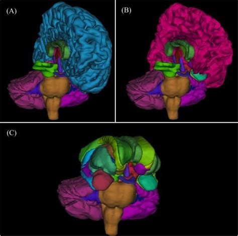 Deep Learning Based Automatic Segmentation Of Brain Structures On Mri A Test Retest