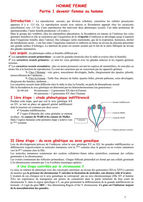 Synth Se Du Sexe G N Tique Au Sexe