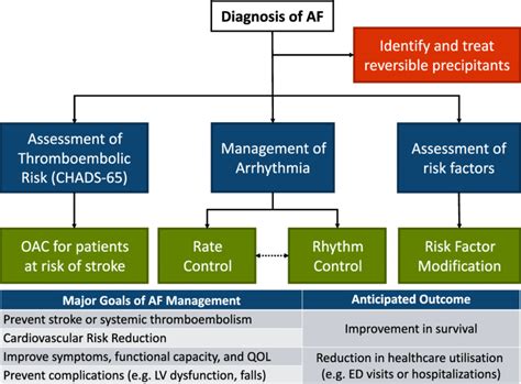General Overview Of The Management Of Atrial Fibrillation Af Download Scientific Diagram