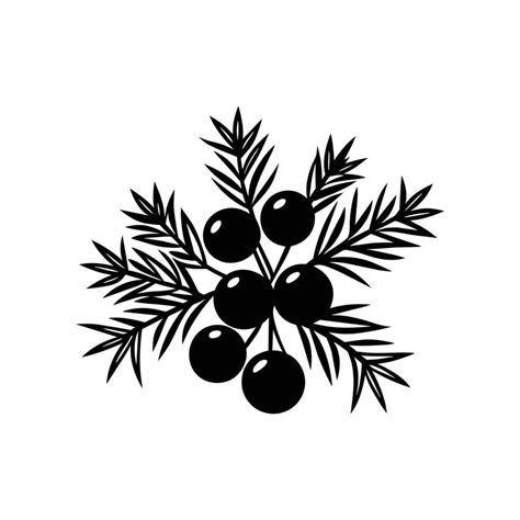 Juniper Logo Illustration With Berry Icons 50883248 Vector Art At Vecteezy