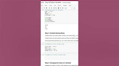 Python Variables 100 Days Of Python Programming Day 18 Shorts Pythonprogramming Youtube