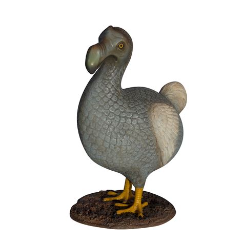 Life size Dodo Bird Event Décor And Prop Rental