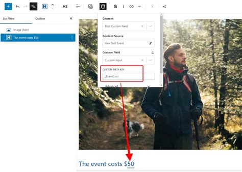 dynamic content custom input and showing fields from all post types