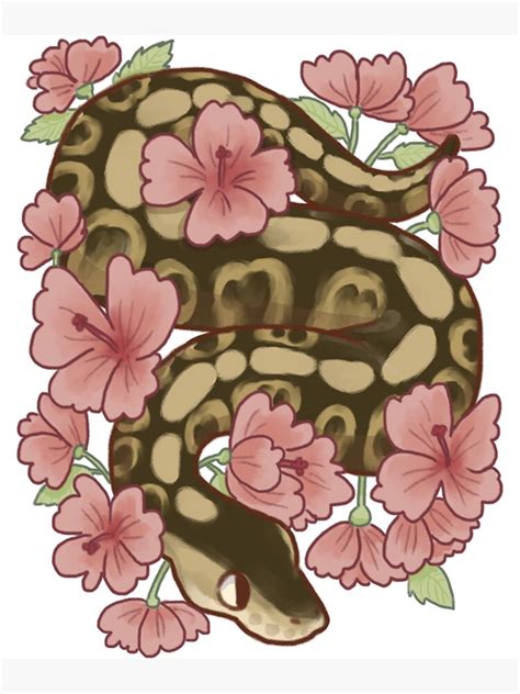 Flower Ball Python Poster For Sale By Squidtartsart Redbubble