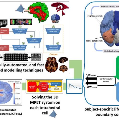 Csf Isf Clearance Left Pair And Csf Isf Accumulation Right Pair Download Scientific Diagram