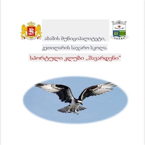 კეთილარის საჯარო სკოლა სპორტული კლუბი შავარდენი