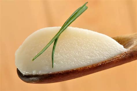 Патешка мас полезна или опасна Advice Bg