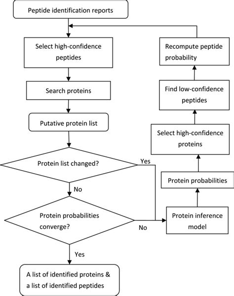 Unified Framework For Ms Based Protein Inference This Framework For Download Scientific