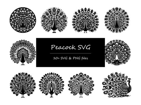 The Peacock Svg Bundle Is Shown In Black And White With Different Designs On It