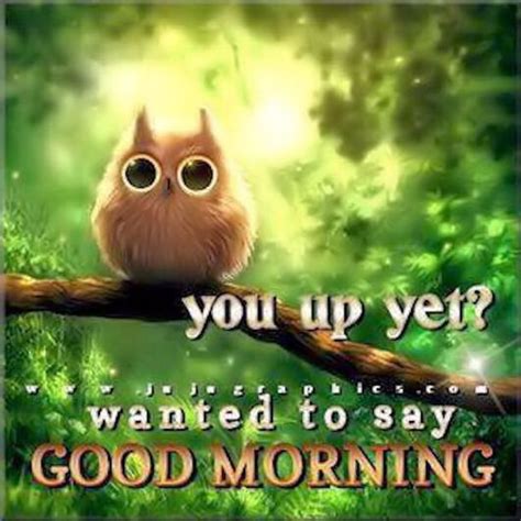 25 Best Good Morning Quotes Good Morning Quotes Good Morning Picture