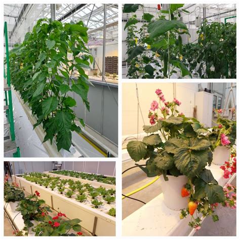 Vandaag Was Mijn Laatste Dag Als Docent Plantenteelt Bij Vonk Eric