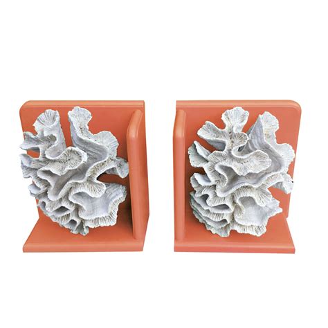 Linda Fenwick Shell Art And Design