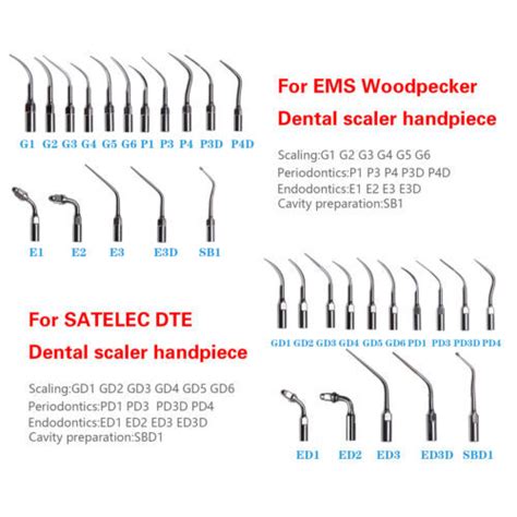 Punte Pulizia Denti Ems Woodpecker Dental Ultrasonic Scaler Scaling