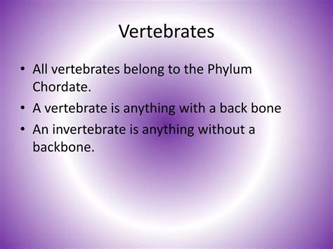 Classification Biology Ppt