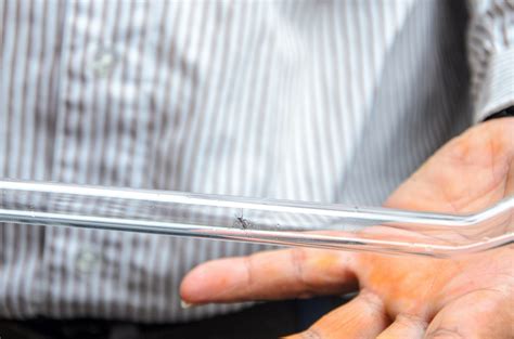 Responding To Dengue Outbreak In Nepal