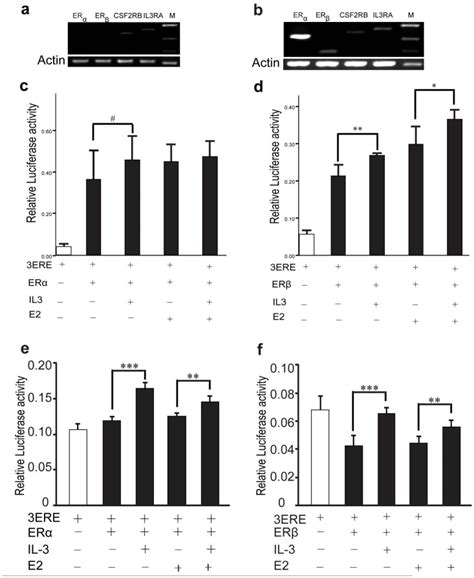 The Interleukin 3 Gene Il3 Contributes To Human Brain Volume