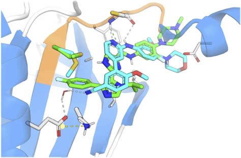 how does ai drug discovery really work a new paper reveals the process