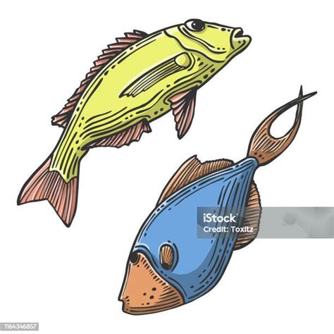 물고기 낙서 및 스케치 스타일의 벡터 개념입니다 티셔츠 엽서에 인쇄하기 위한 손으로 그린 일러스트레이션 T 셔츠에 대한 스톡 벡터 아트 및 기타 이미지 Istock