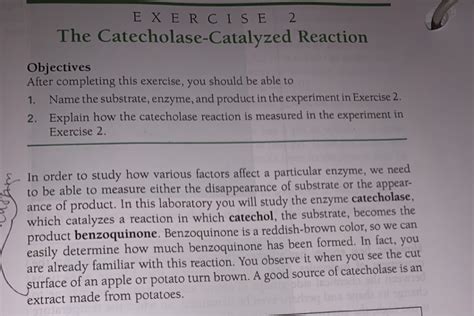 Solved Port You Procedure For Catecholase Experiment Before