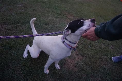 April Moses Photography