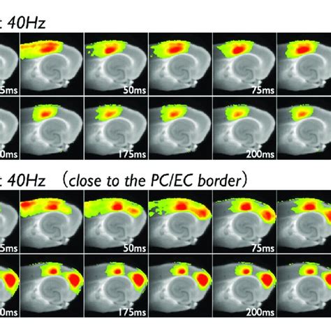Spread Of Neural Activity Upon Single Stimulation Of Perirhinal
