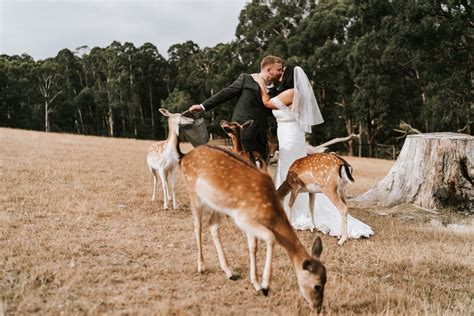 Single Soul Wedding Photography And Videography Melbourne