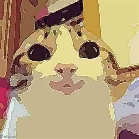 Smiling Cat Meme Imgflip