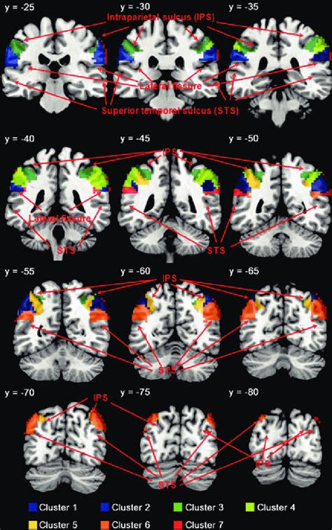 K Means Clustering Of Functional Connectivities Of Individual Voxels