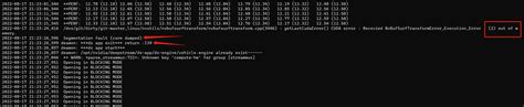 jetpack4 6 with out of memory error deepstream sdk nvidia
