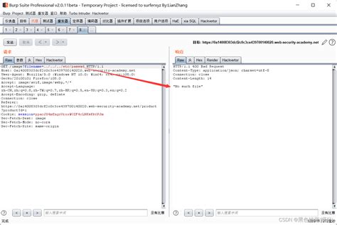 目录遍历漏洞 6个实验全 云社区 华为云
