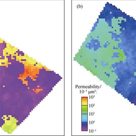 Porosity Permeability Distribution In A Carbonate Reservoir
