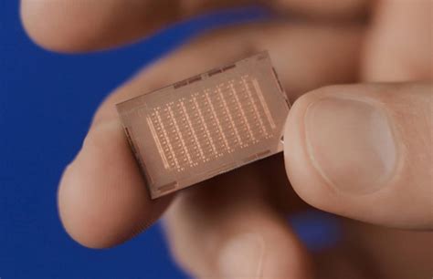 Виды процессоров Cpu Gpu Apu Npu Fpga и другие Блог Serverflow