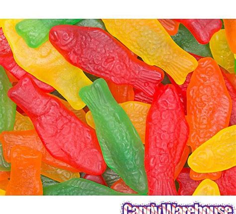 Ocean Candy Warehouse