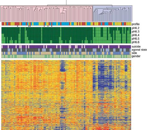 Two Way Hierarchical Clustering Based On The Expression Levels Of 676 Download Scientific