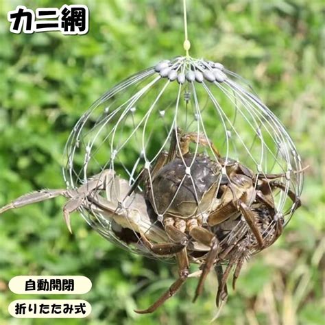【楽天市場】送料無料 カニ網 漁網 投げ網 魚獲り網 仕掛け ネット カニ フィッシング用品 釣り具 自動開閉 折りたたみ式 ロブスター エビ