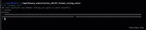 Pwn入门（8）格式化字符串漏洞pwn 格式化字符串 Csdn博客