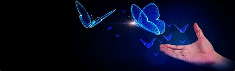 추상 일러스트 배경 나비 추상적 디지털 혁신 미래 변환 진화 개념 코로나 바이러스 위기 잠금 사회 생활 변화 는 사용 전략 리더십 사고를 방해 나비에 대한 스톡 사진 및