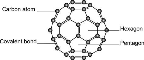 Fullerene