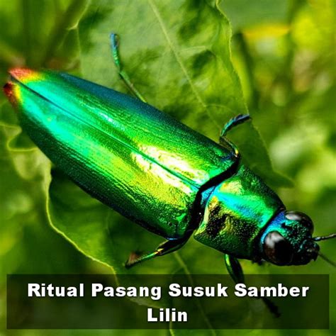 Ritual Pasang Susuk Samber Lilin Pusaka Dunia