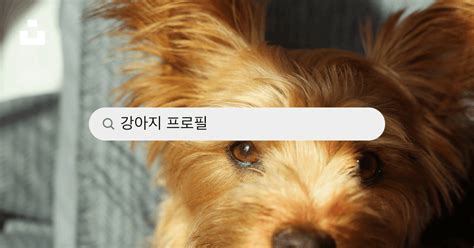 강아지 옆모습 사진 Unsplash에서 무료 이미지 다운로드