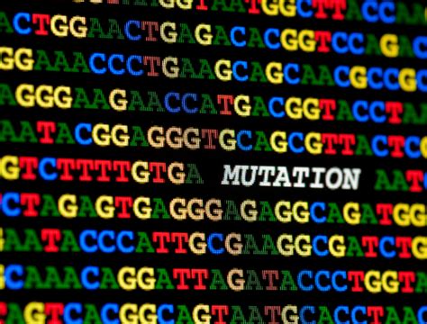 Difference Between Somatic And Germline Mutations Difference Between Somatic Vs Germline